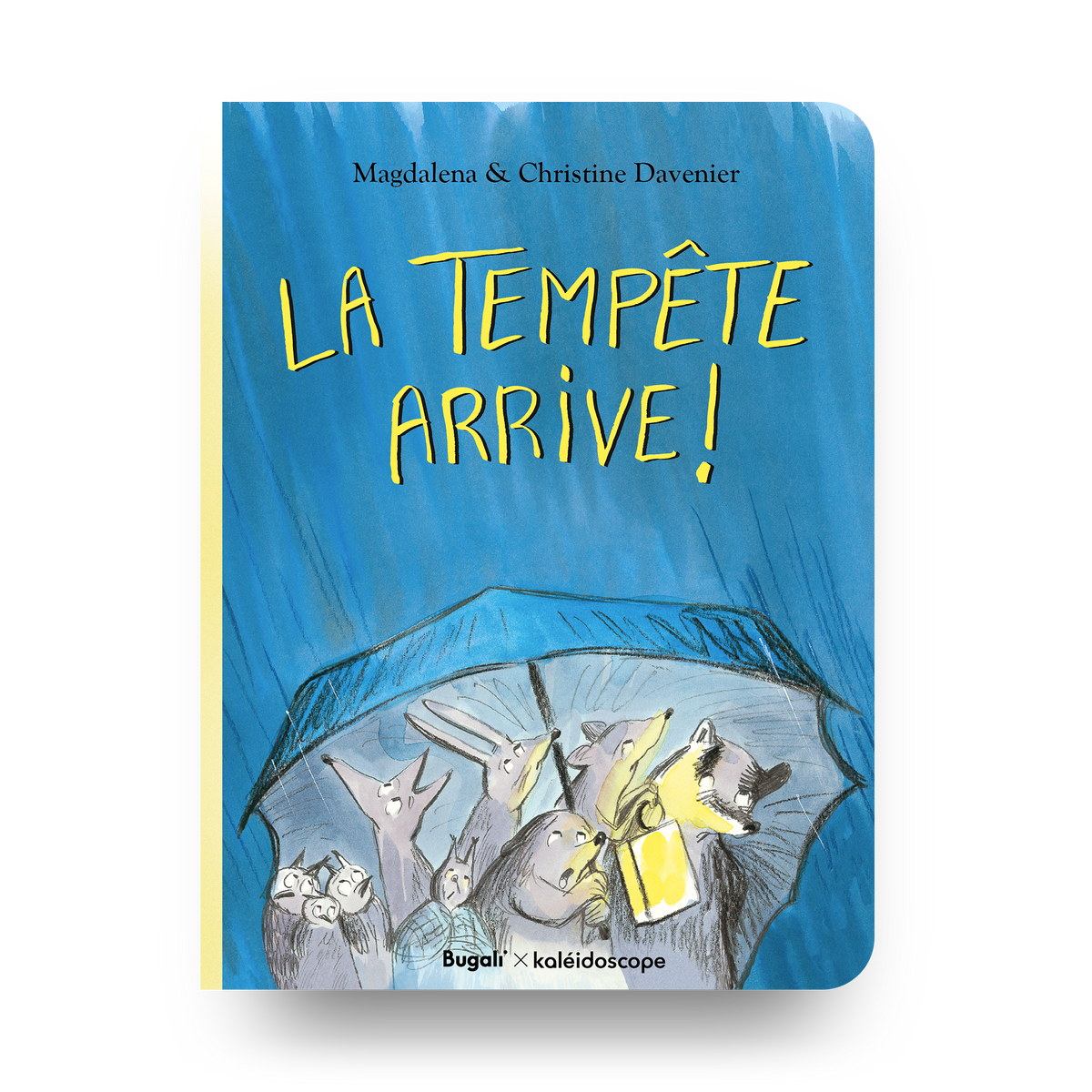 La tempête arrive ! (5+) – Bugali